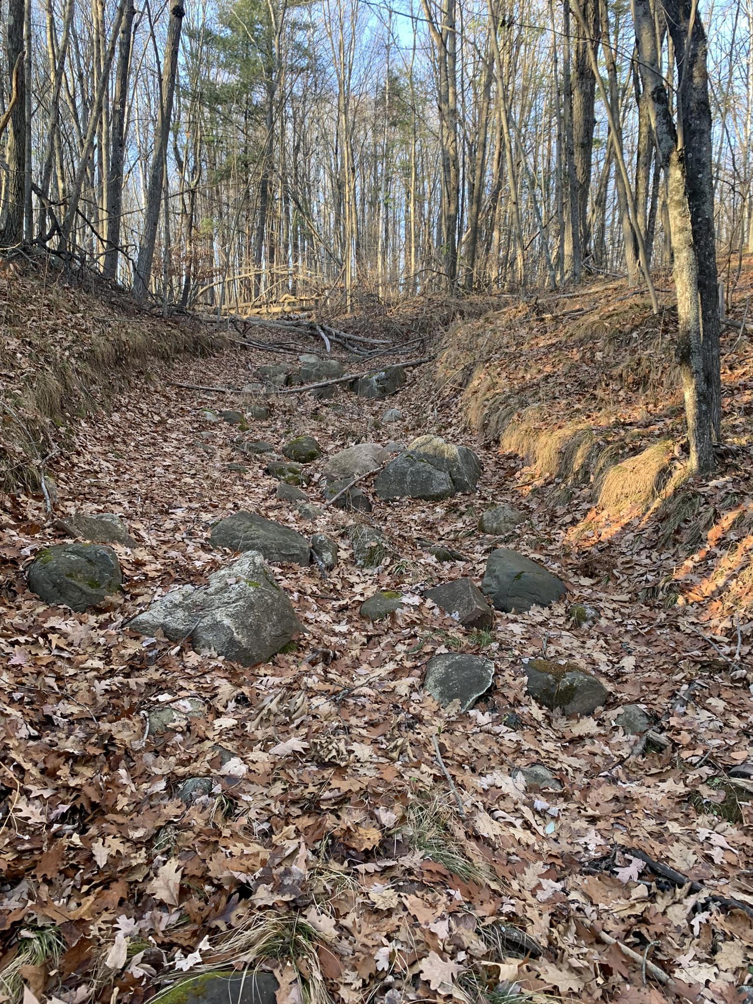 Hill Climbs - Ogemaw Sport and Trail Center
